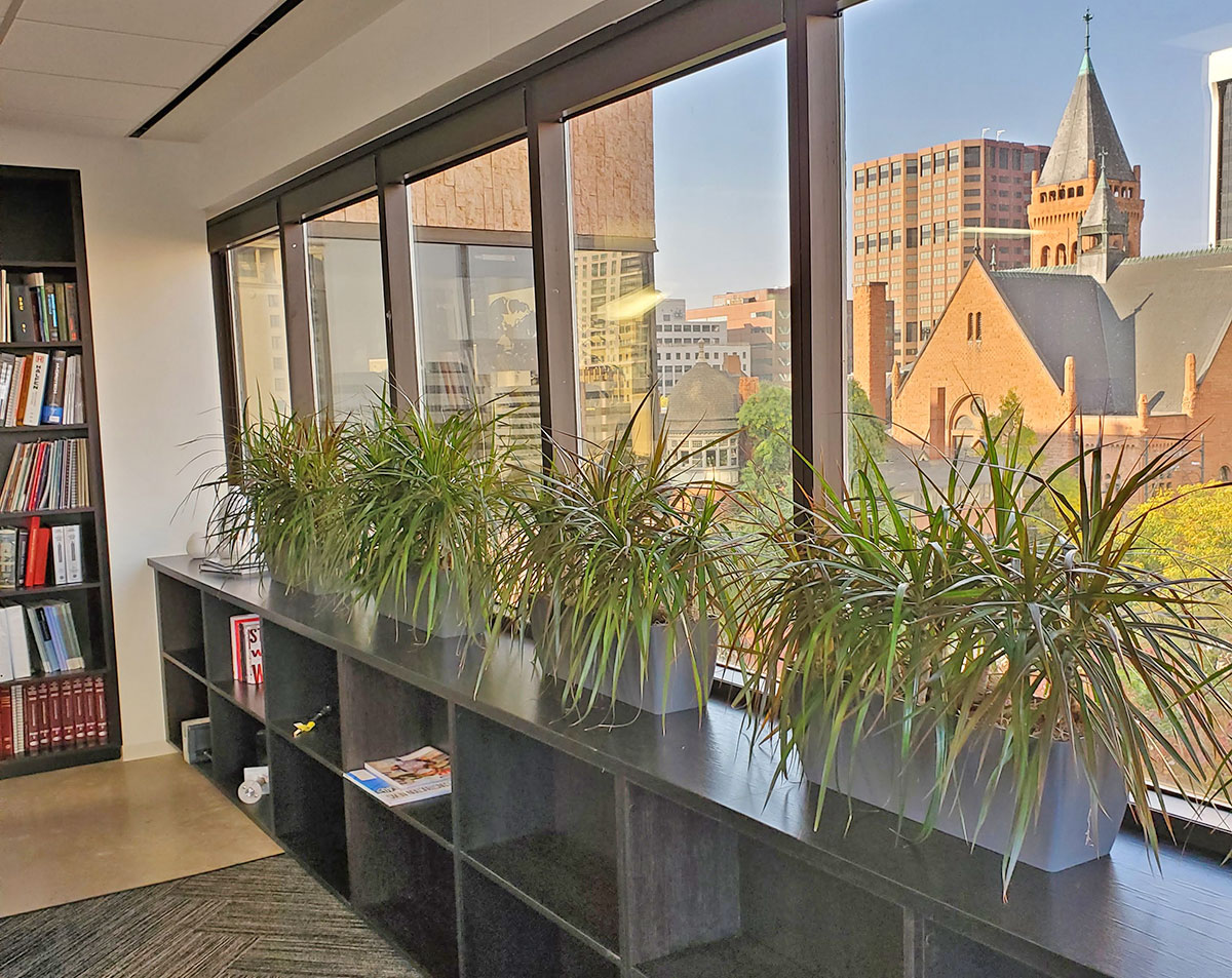 2021 Green Offices Update | Thornton Tomasetti